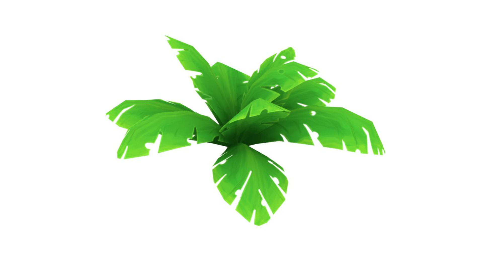 cartoon fern 3d model