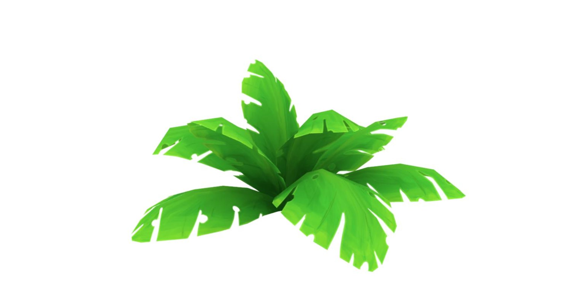 cartoon fern 3d model