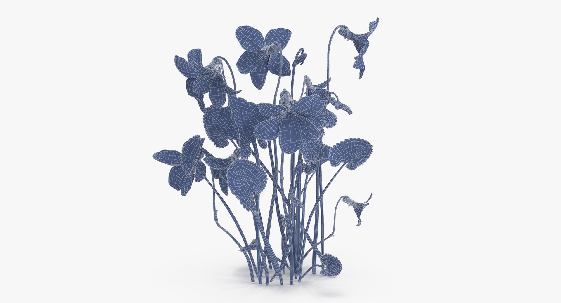 max violet natural group