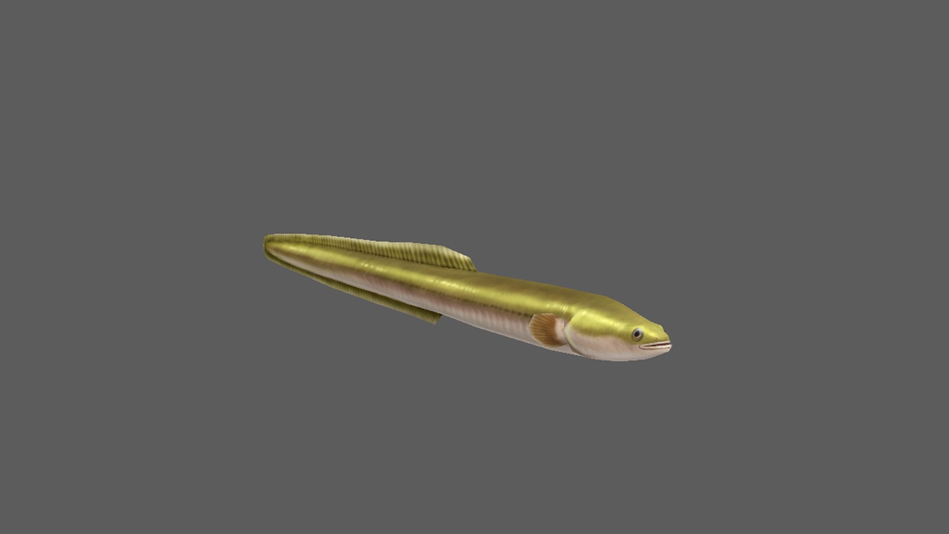 3D Model Eel - TurboSquid 1709764