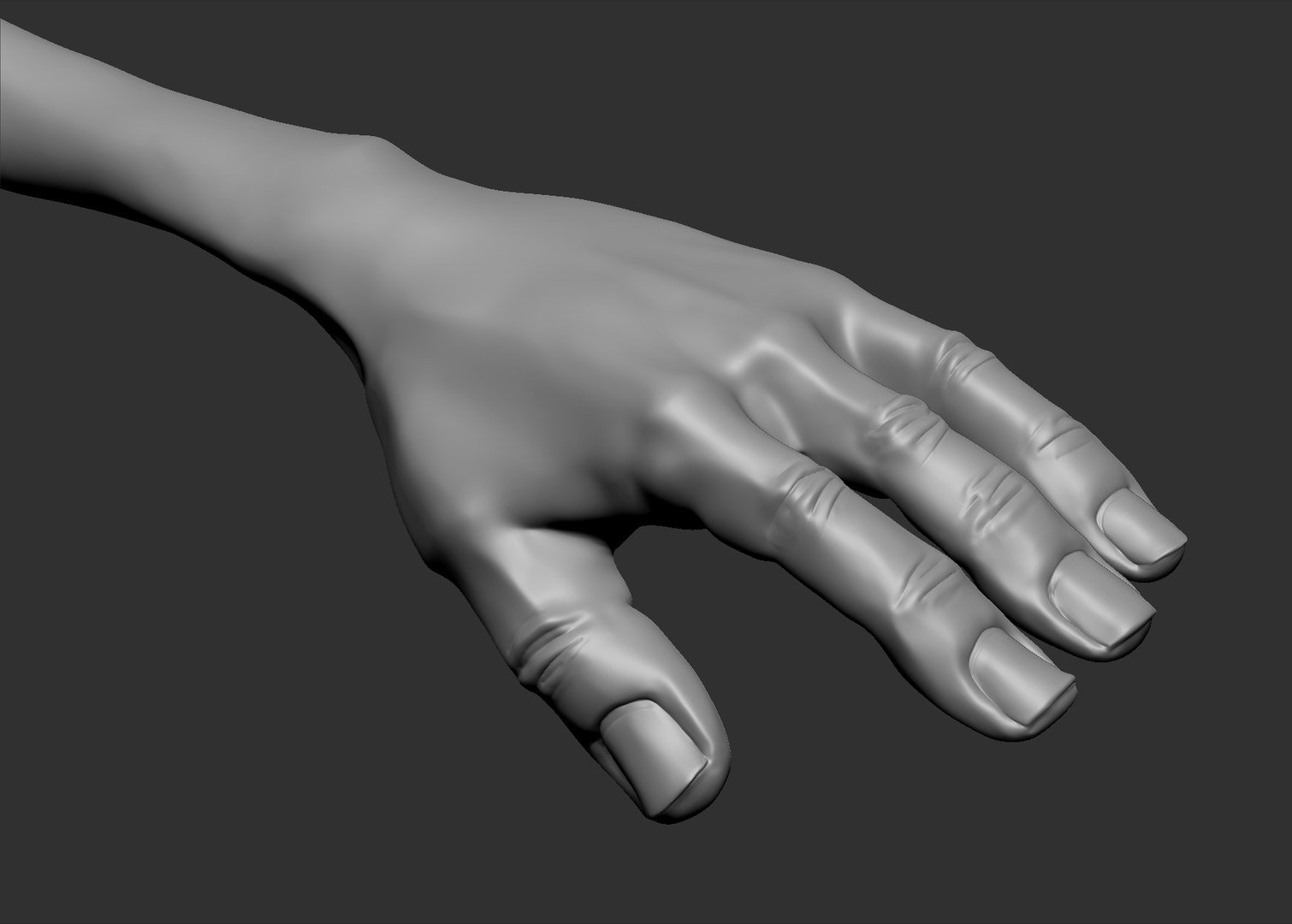 3d Cartoon Hand Model