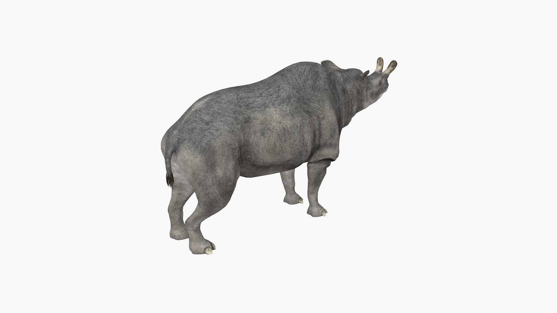 3D Brontotherium Dinosaur - TurboSquid 2341284