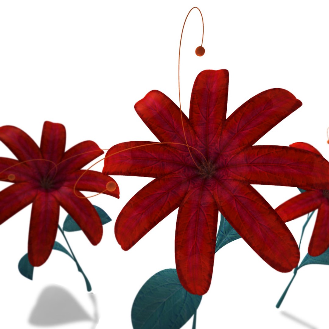 Maya Cluster Growing Flowers