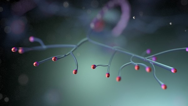cinema4d neuron dendrites axon
