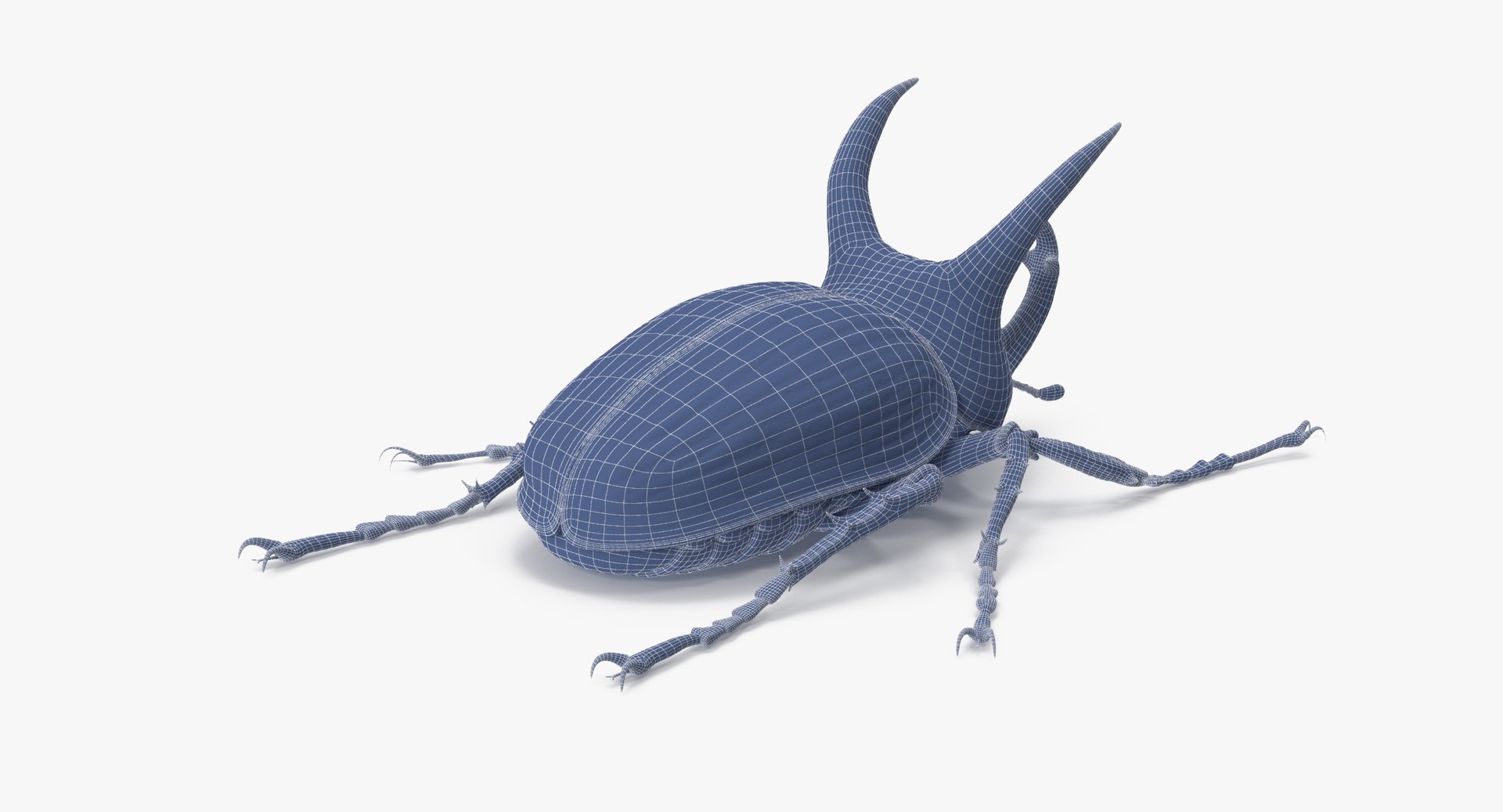rhinoceros beetle rigged - c4d