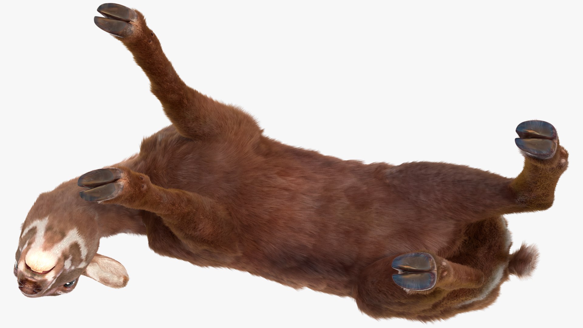 3D Saola Eating Pose Fur Model - TurboSquid 2202825