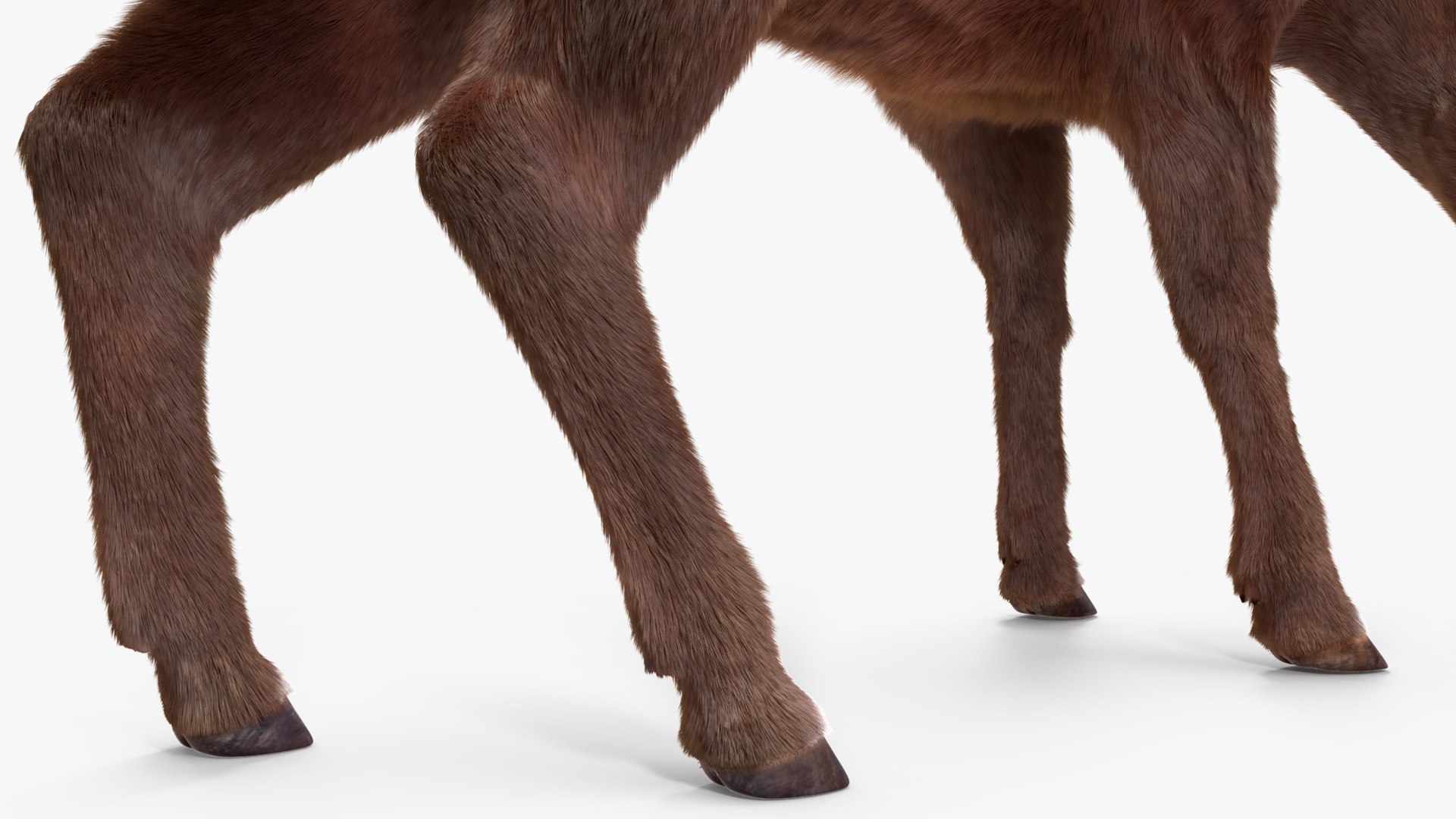 3D Saola Eating Pose Fur Model - TurboSquid 2202825