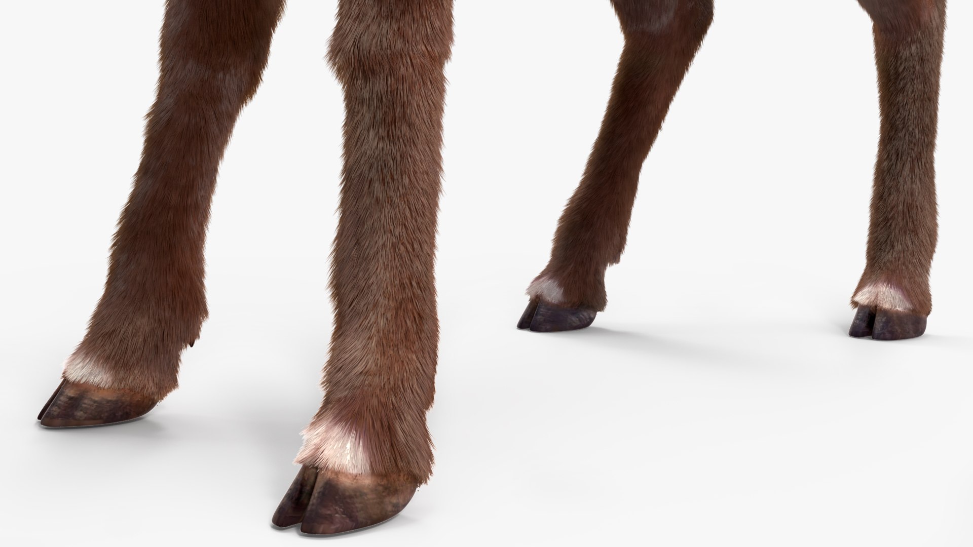 3D Saola Eating Pose Fur Model - TurboSquid 2202825