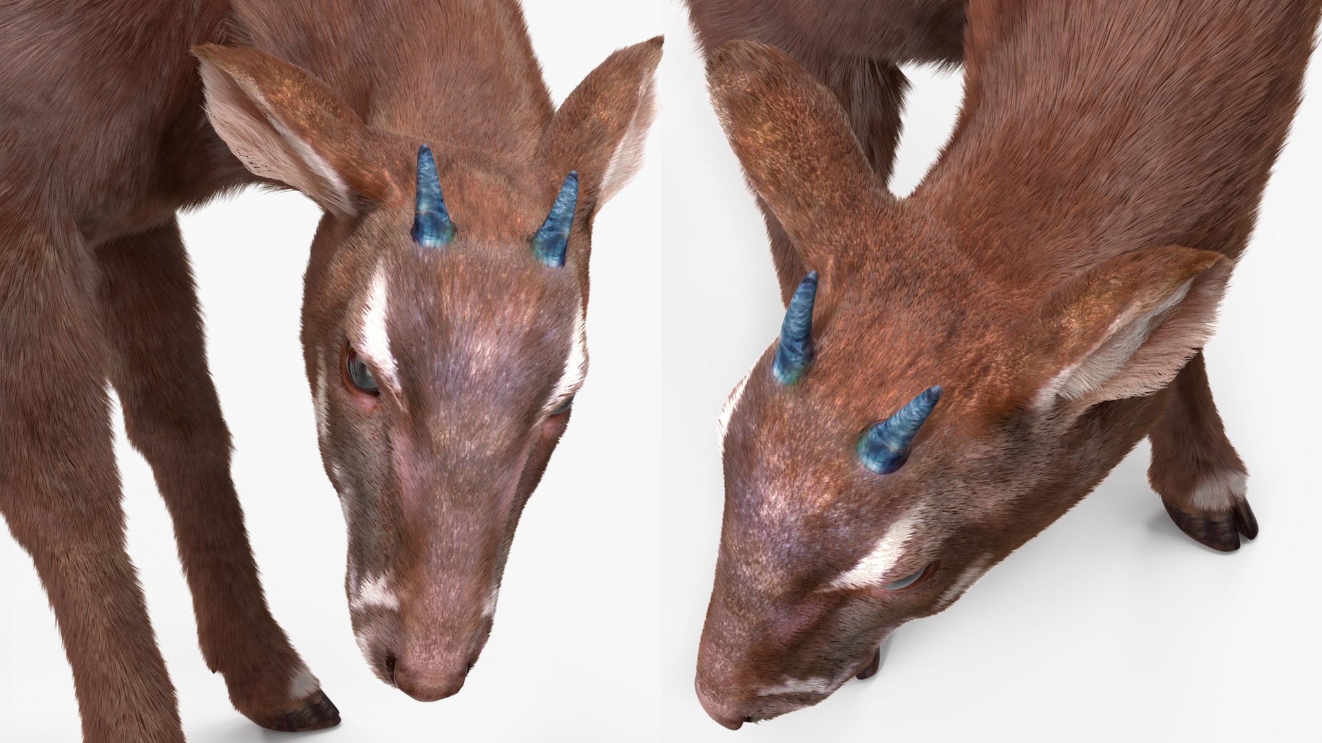 3D Saola Eating Pose Fur Model - TurboSquid 2202825