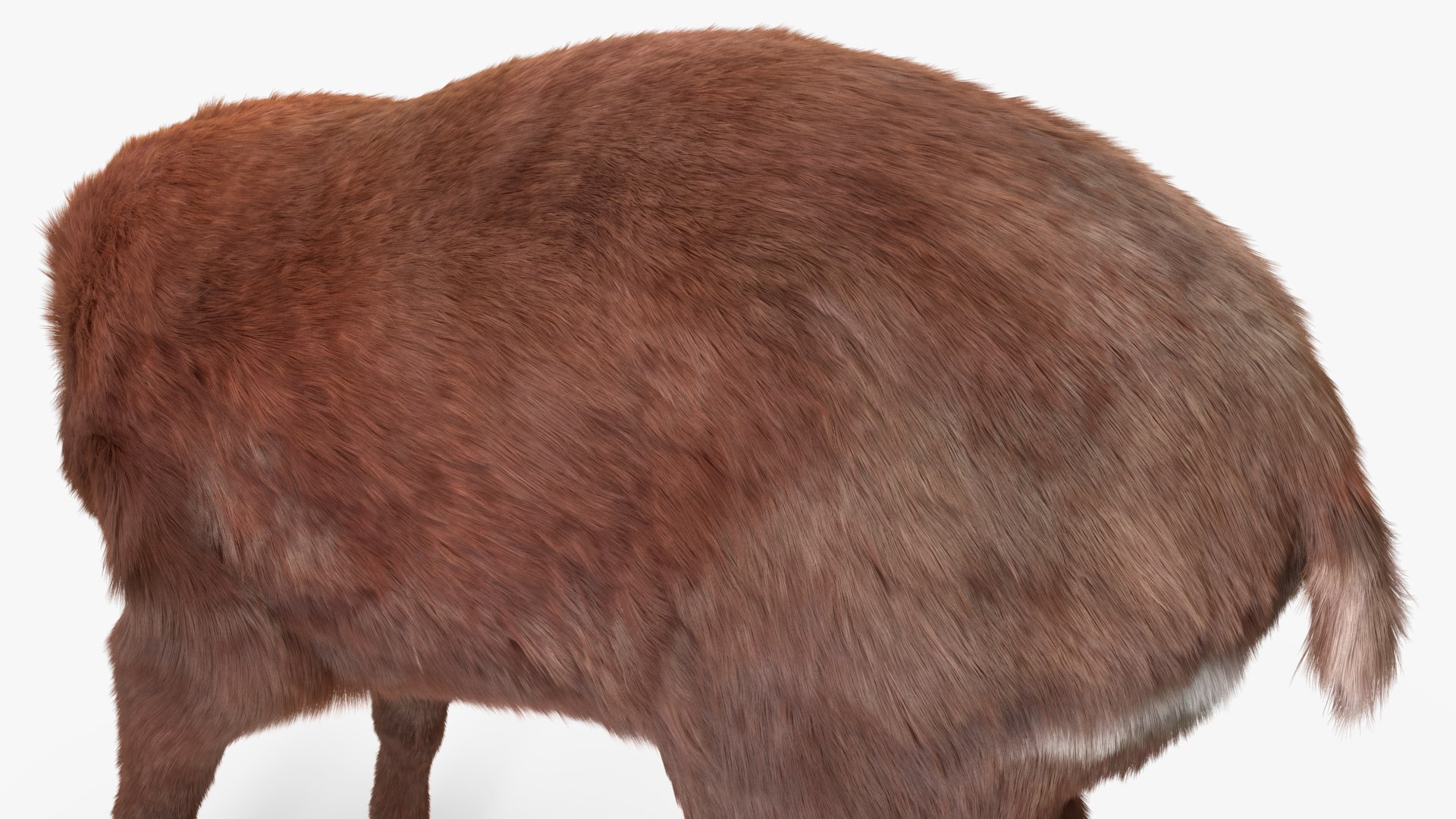 3D Saola Eating Pose Fur Model - TurboSquid 2202825