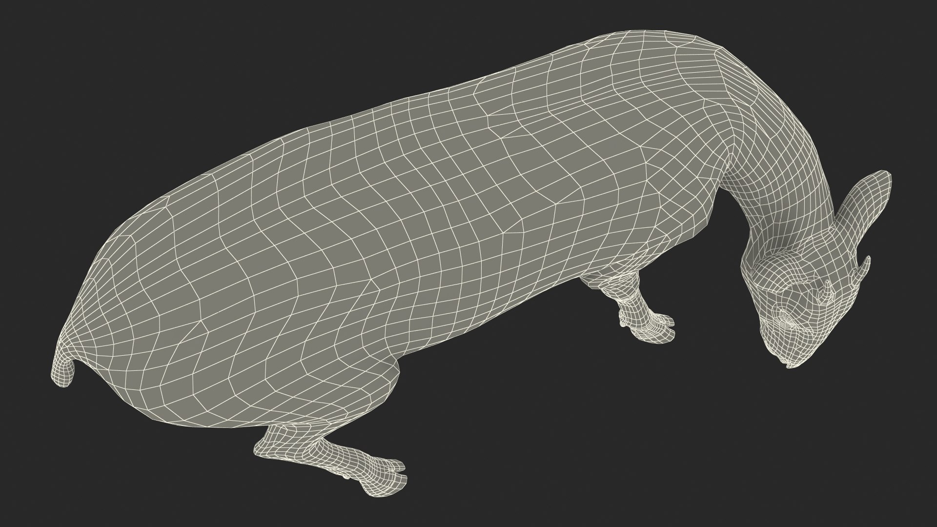3D Saola Eating Pose Fur Model - TurboSquid 2202825