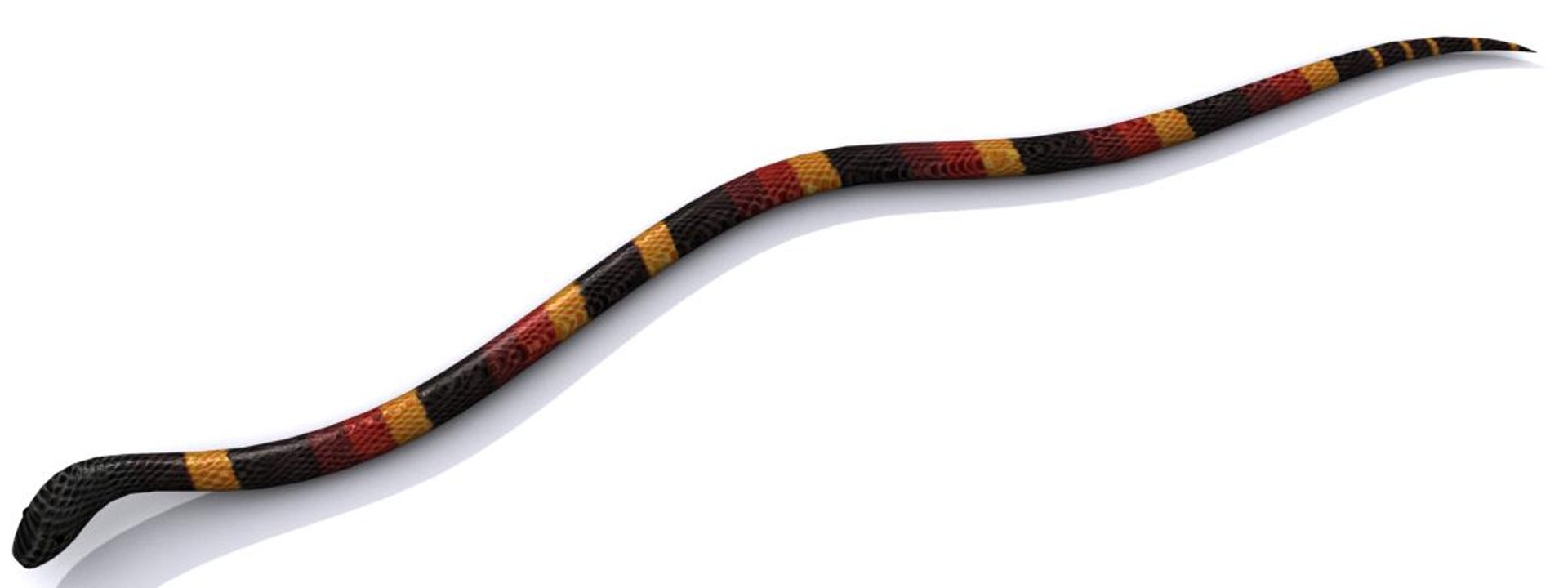3d Model Coral Snake