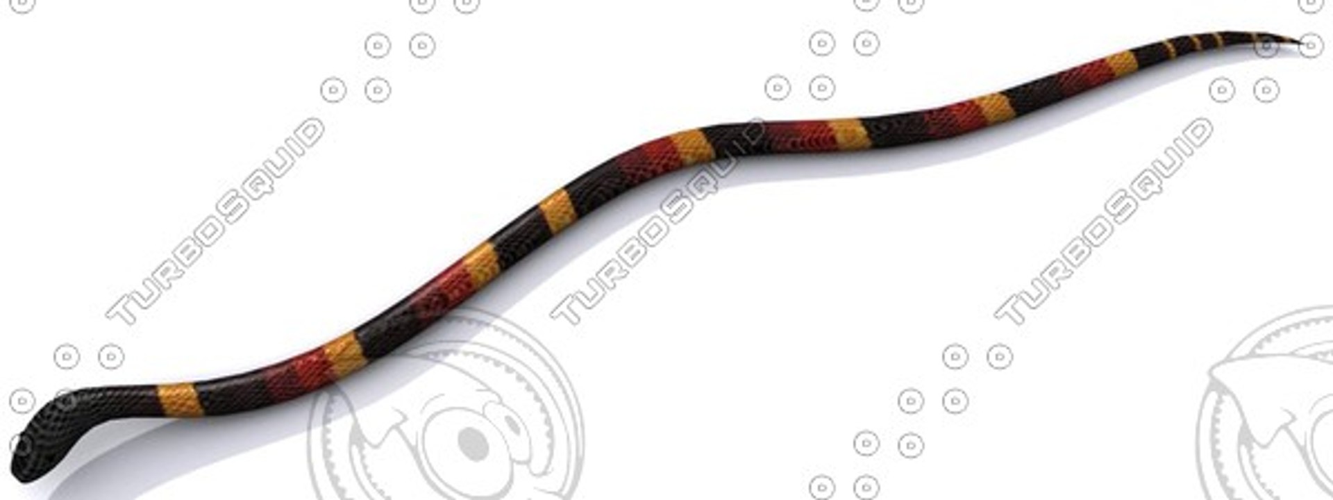 3d Model Coral Snake