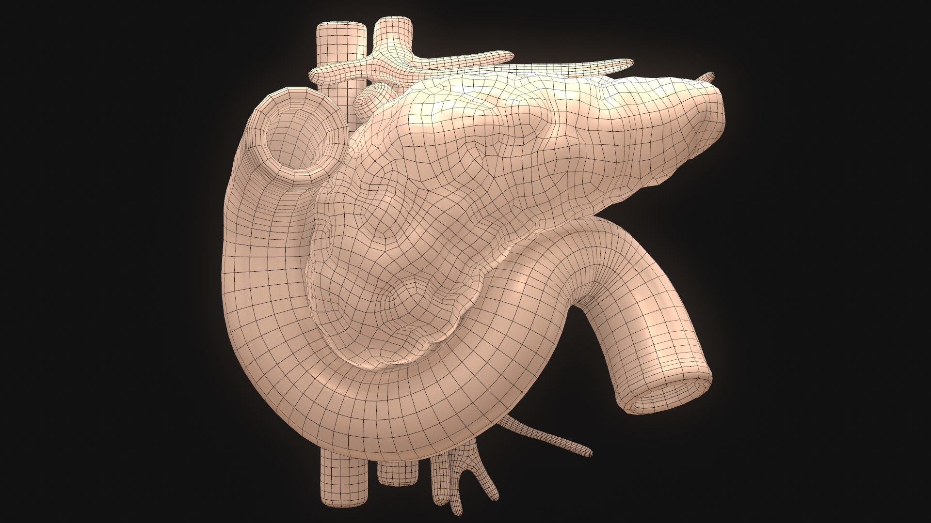 3D Modeled Pancreas Human Model - TurboSquid 1468534
