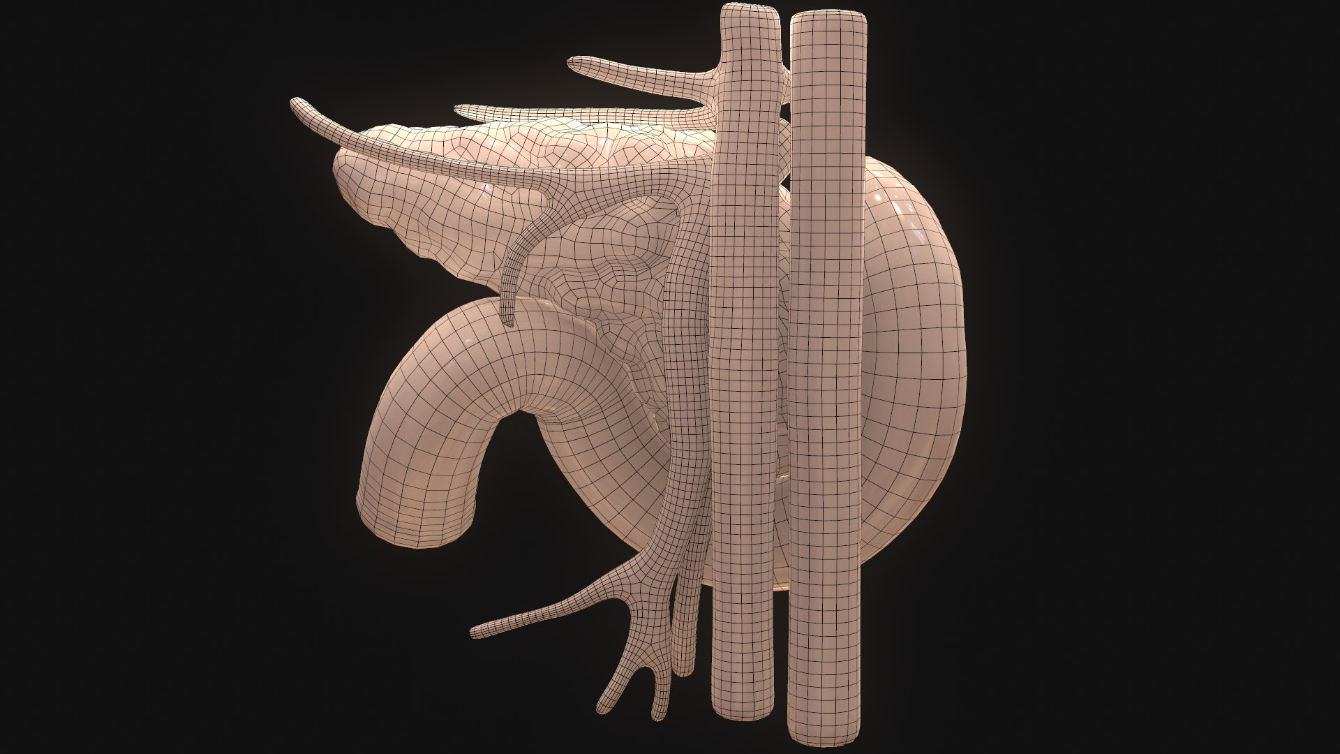 3D Modeled Pancreas Human Model - TurboSquid 1468534