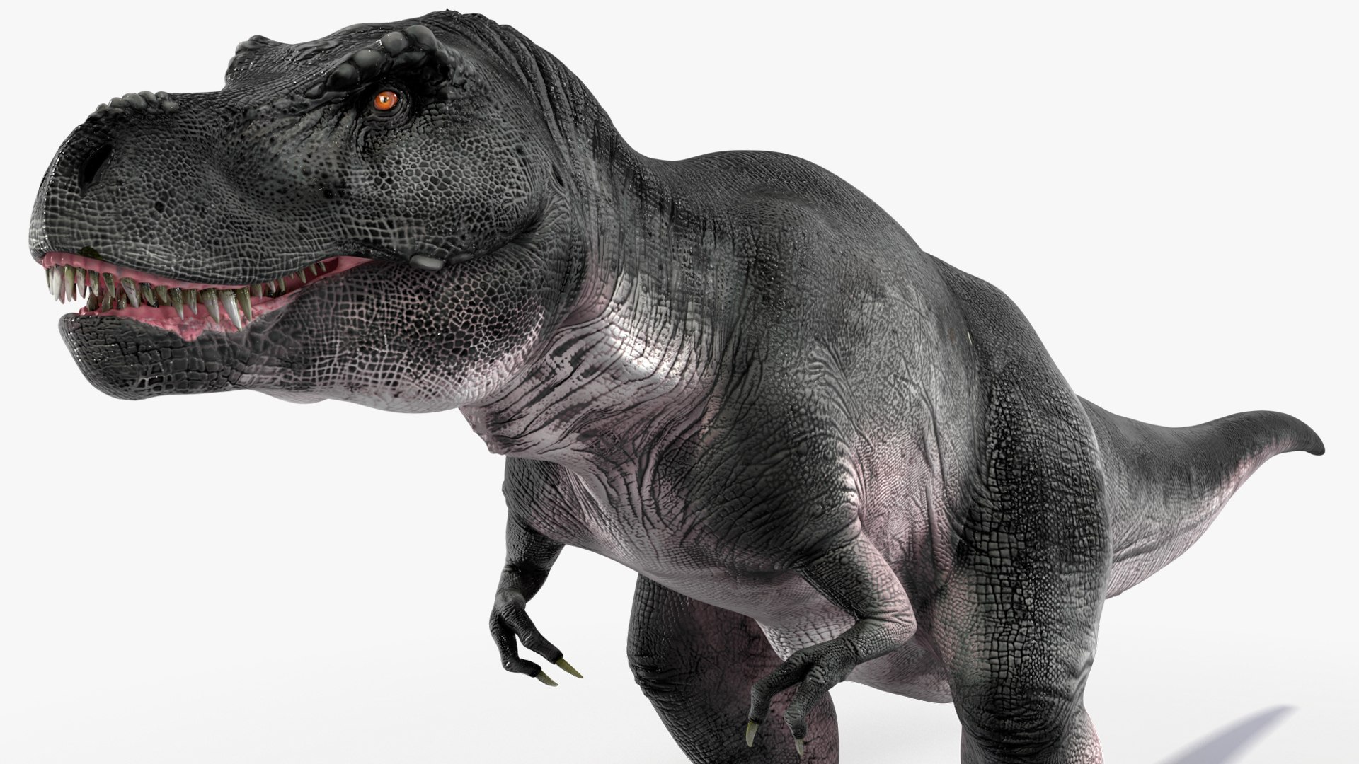 3D T Rex Idle Animated Rigged for Maya model - TurboSquid 2108451