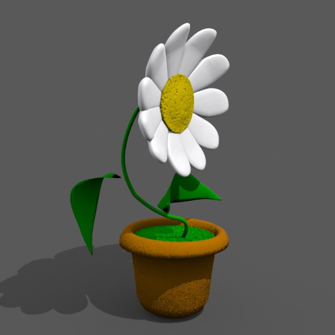 cartoon flower toon 3d model
