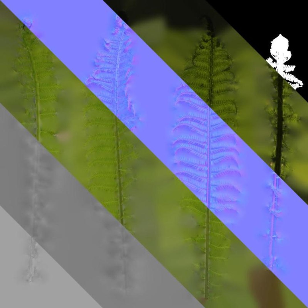 3D Anydrafts Matteuccia Struthiopteris Atlas 03 Textures Model ...