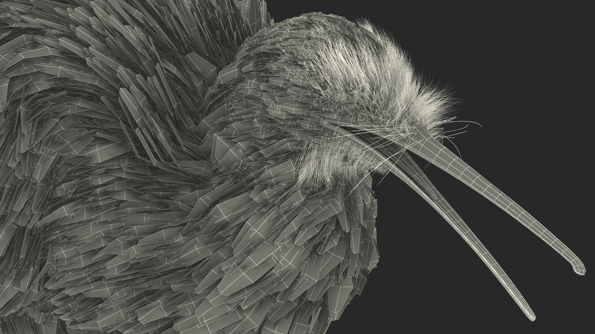 3D Model Kiwi Bird Walk Pose Fur - TurboSquid 2104094