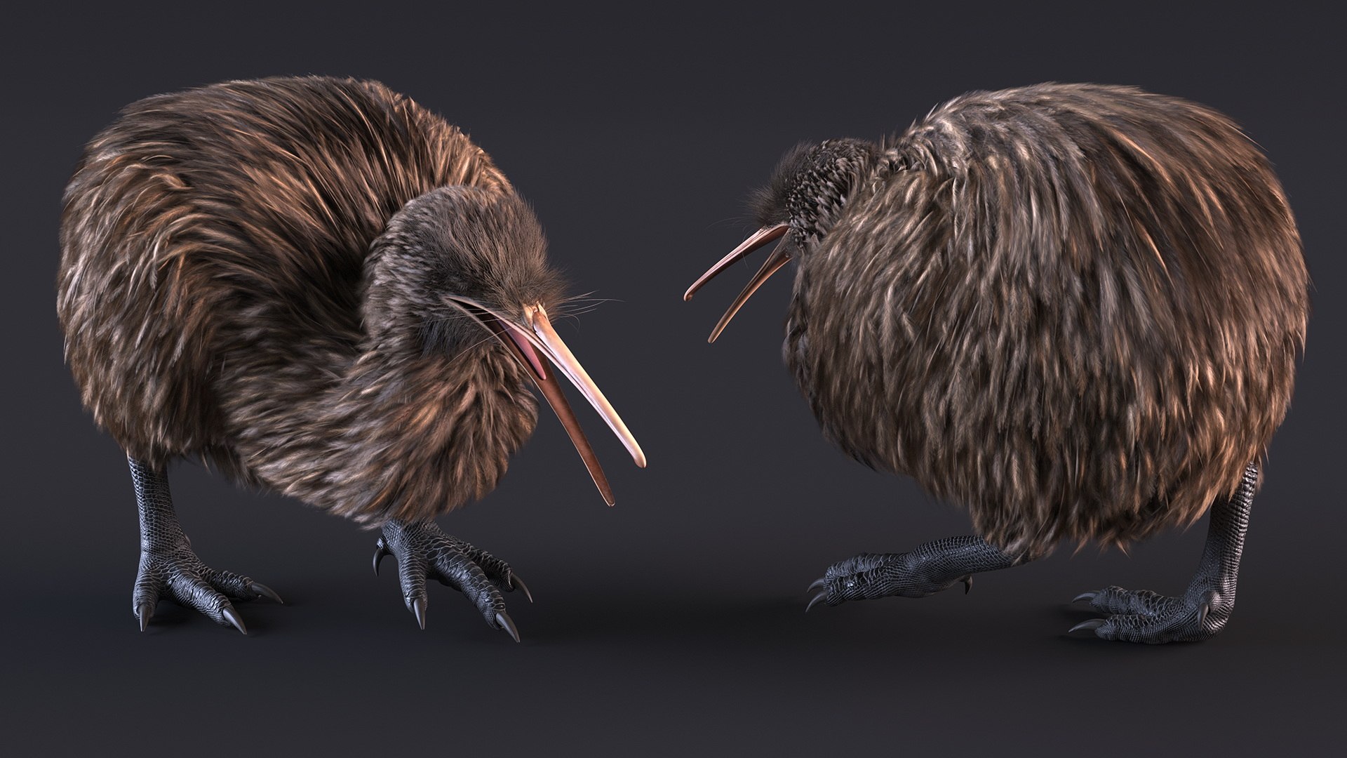 3D model Kiwi Bird Walk Pose Fur - TurboSquid 2104094