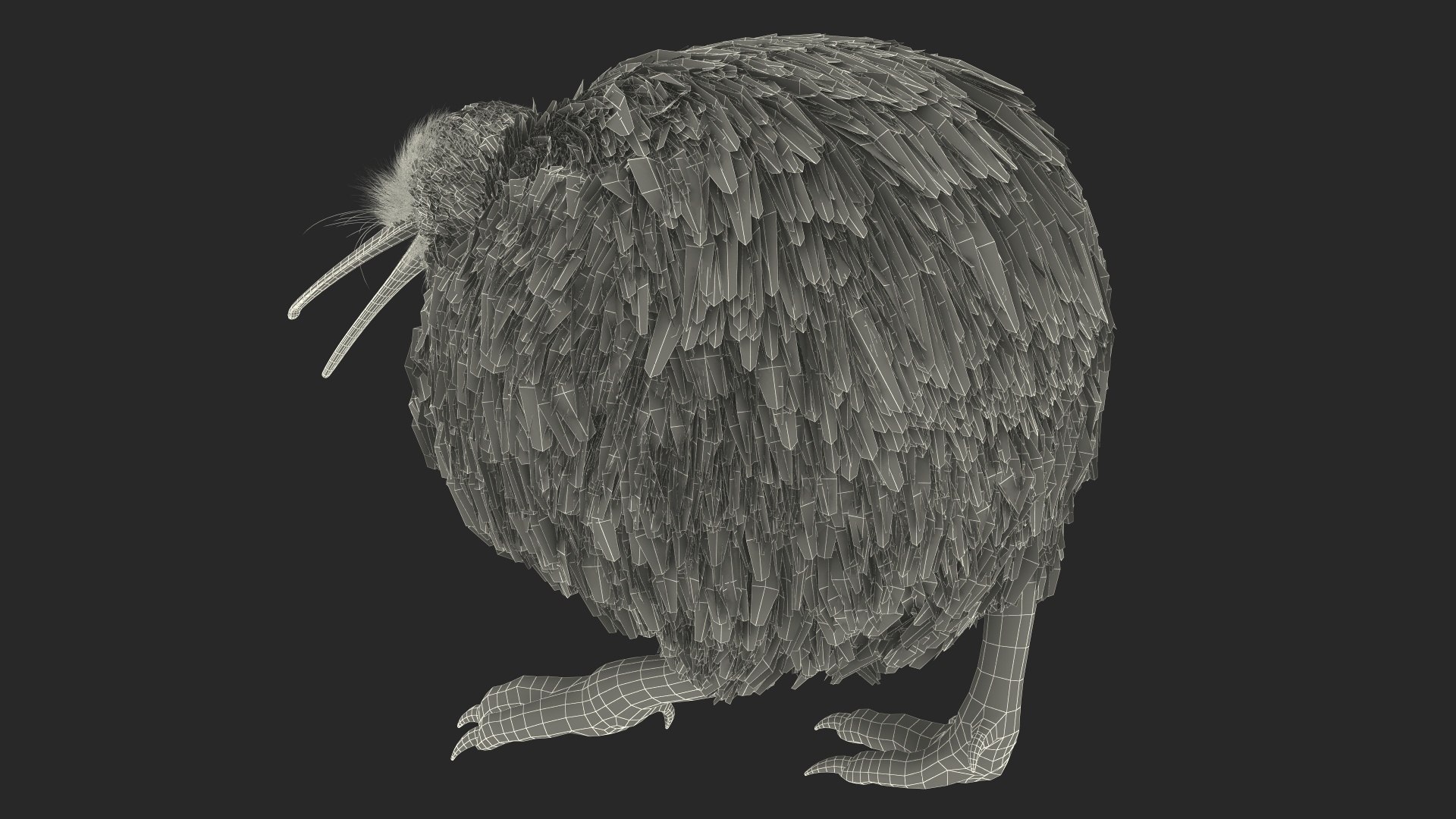 3D Model Kiwi Bird Walk Pose Fur - TurboSquid 2104094