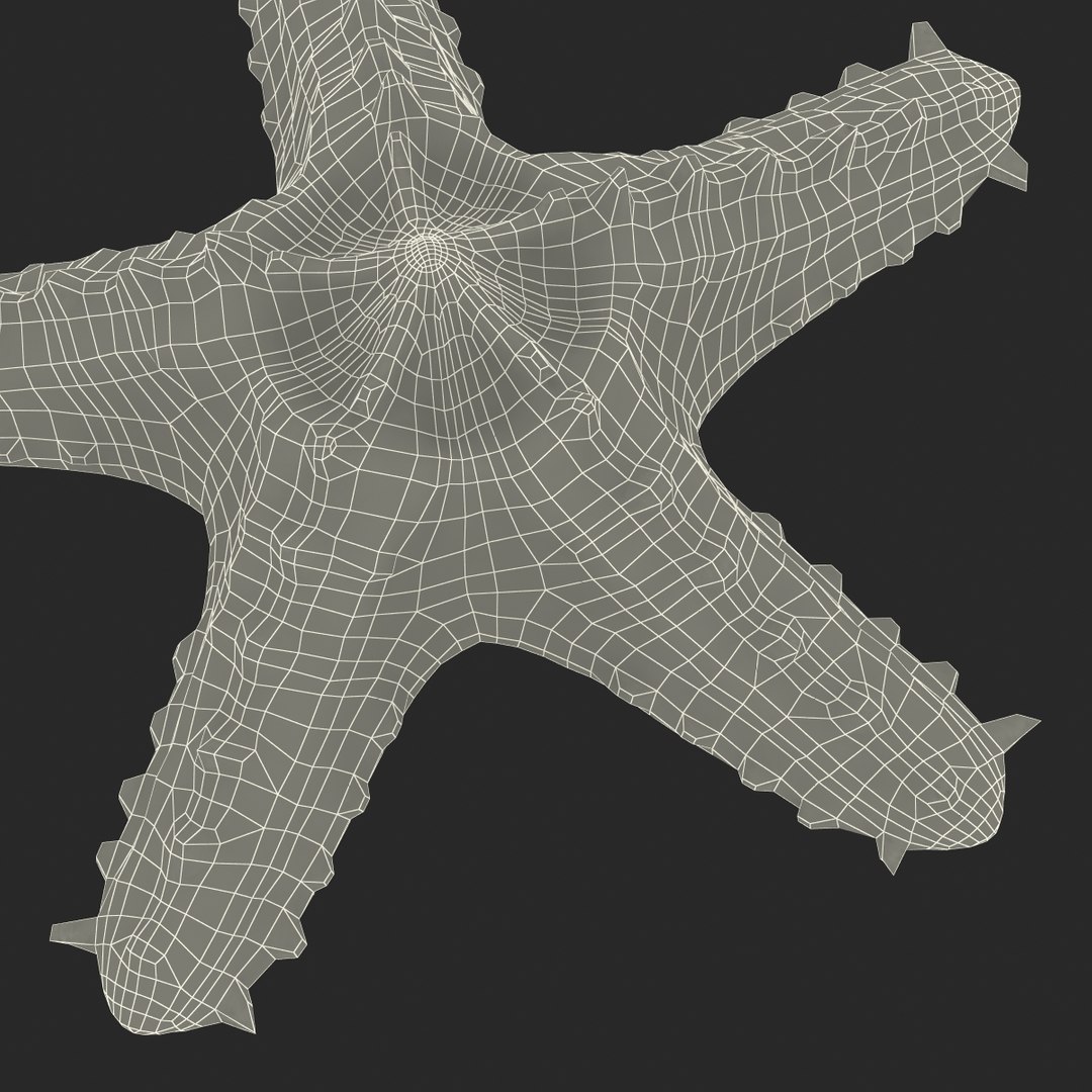 3d Red Knobbed Starfish Rigged