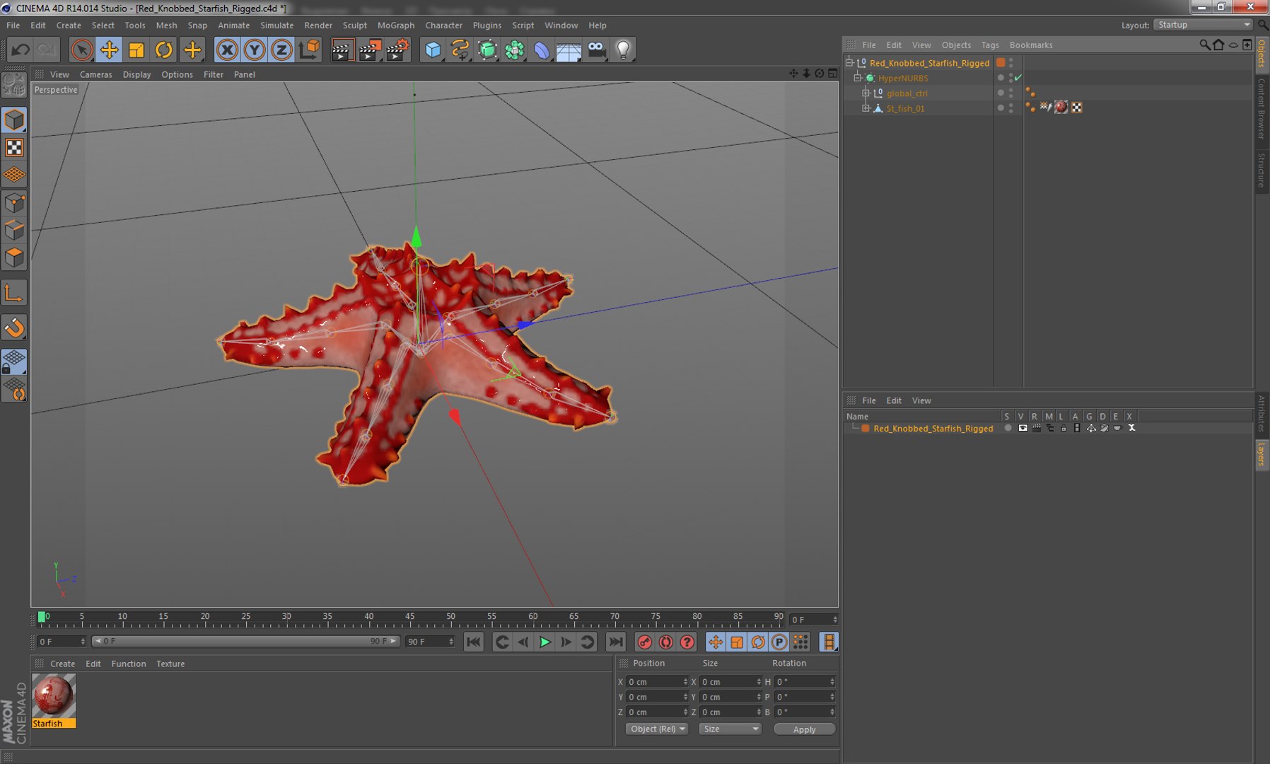 3d red knobbed starfish rigged
