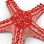 3d Red Knobbed Starfish Rigged