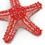 3d Red Knobbed Starfish Rigged