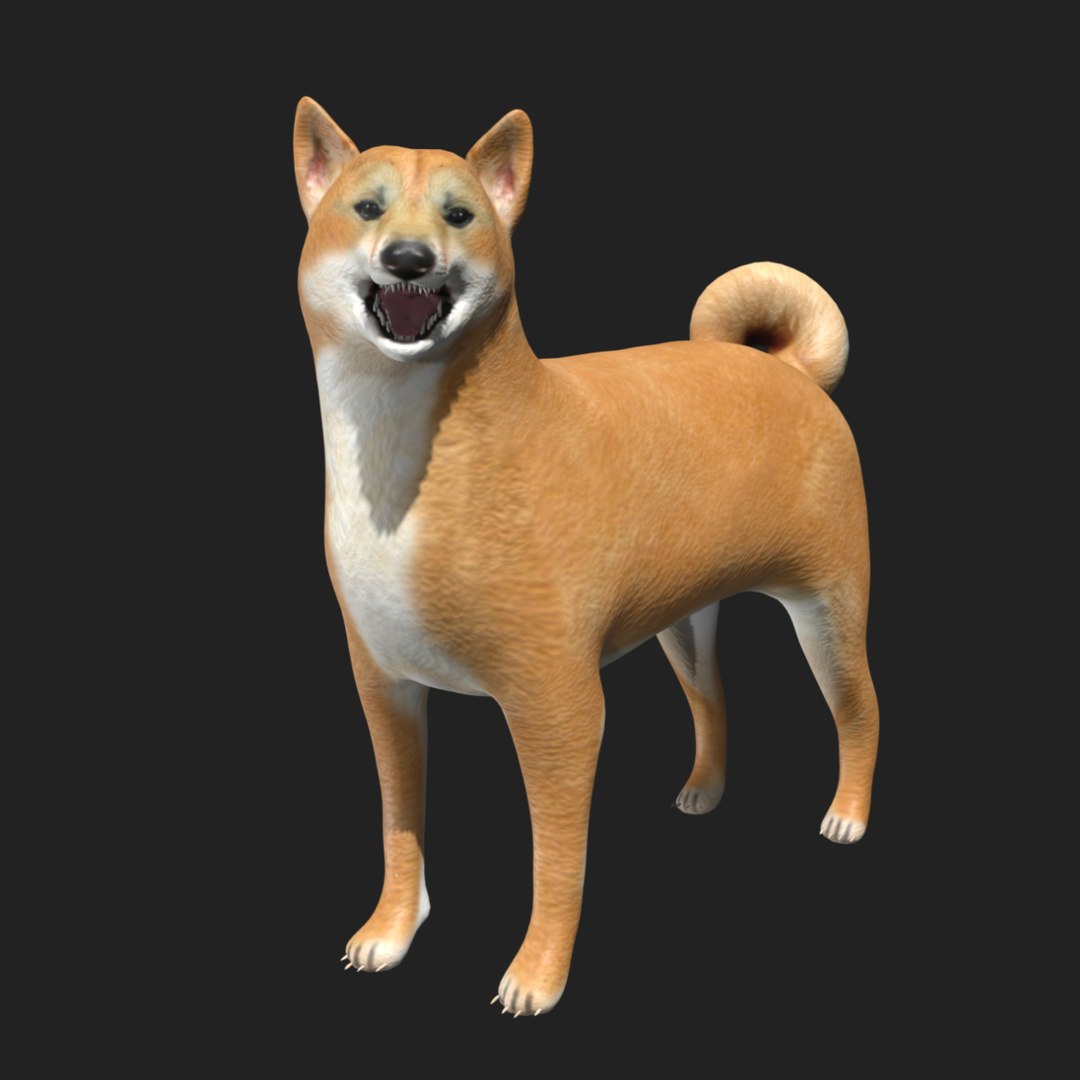 3D Shiba Inu Model - TurboSquid 1773529