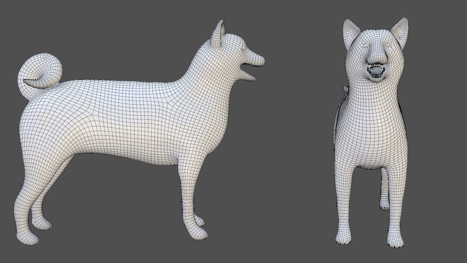 3D Shiba Inu Model - TurboSquid 1773529