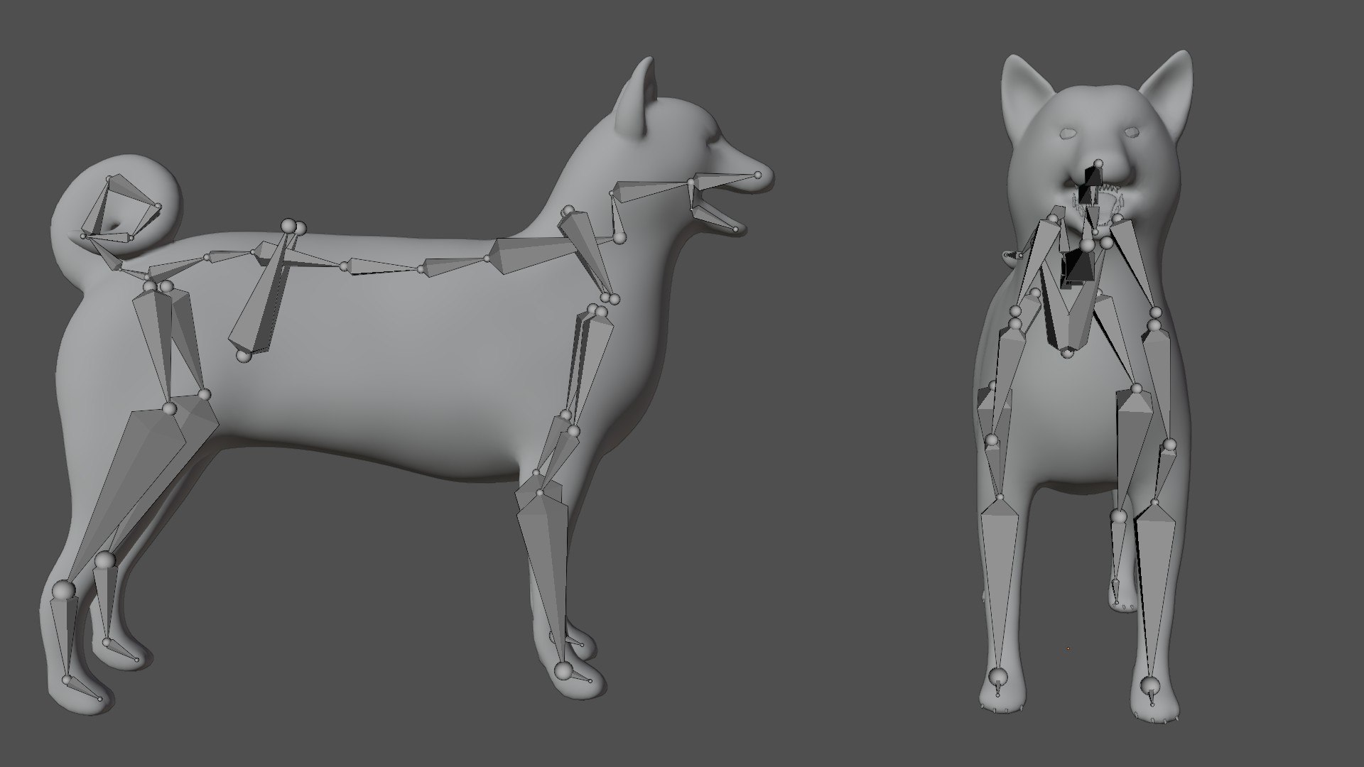 3D Shiba Inu Model - TurboSquid 1773529