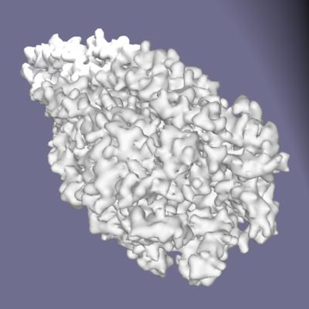 Protein Acetylcholine Receptor 3d Max
