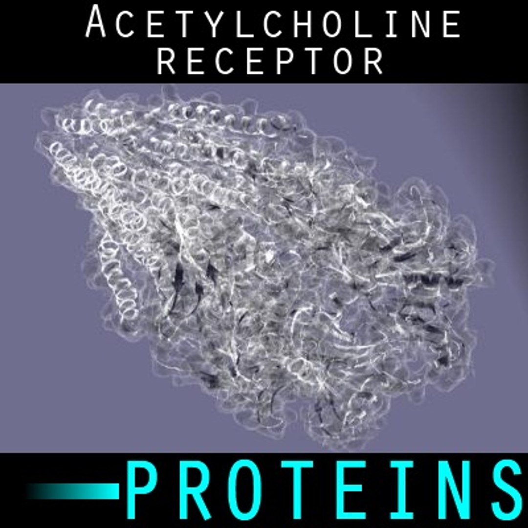 Protein Acetylcholine Receptor 3d Max