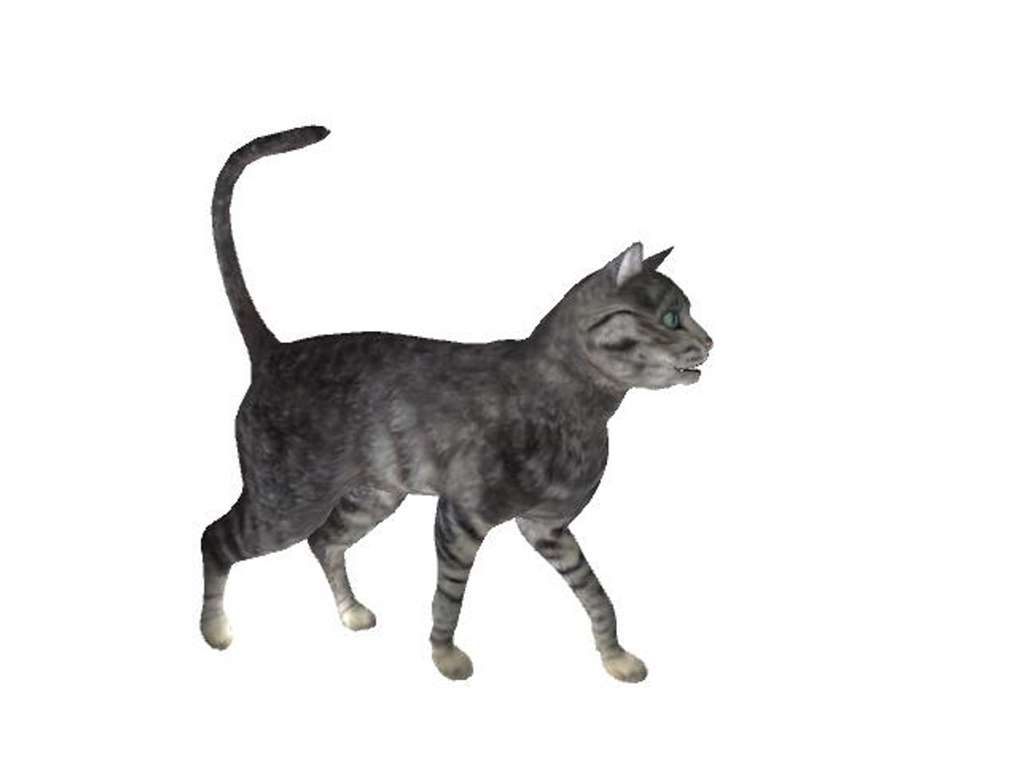 3ds Max Rigged Cat Animations