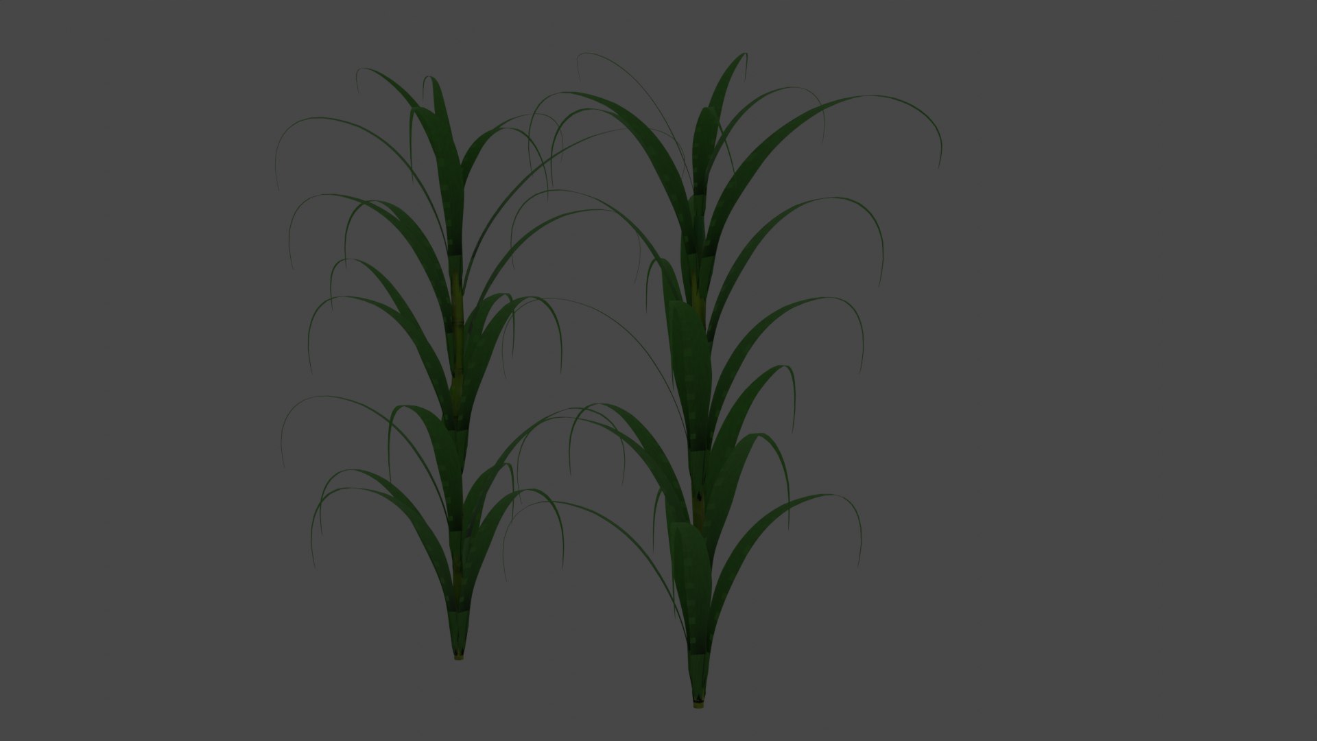 3D Sugarcane - TurboSquid 1954241