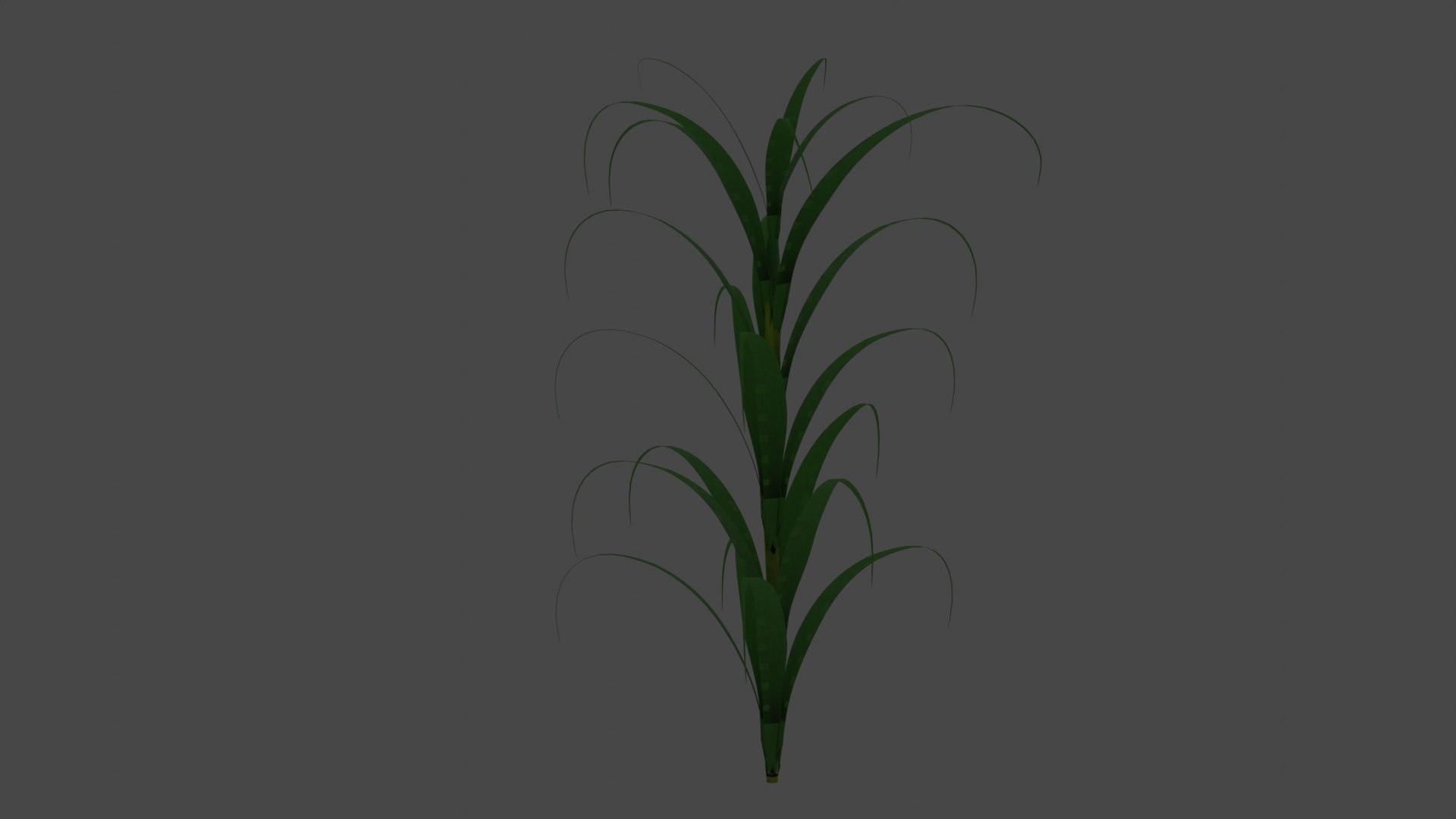 3D Sugarcane - TurboSquid 1954241
