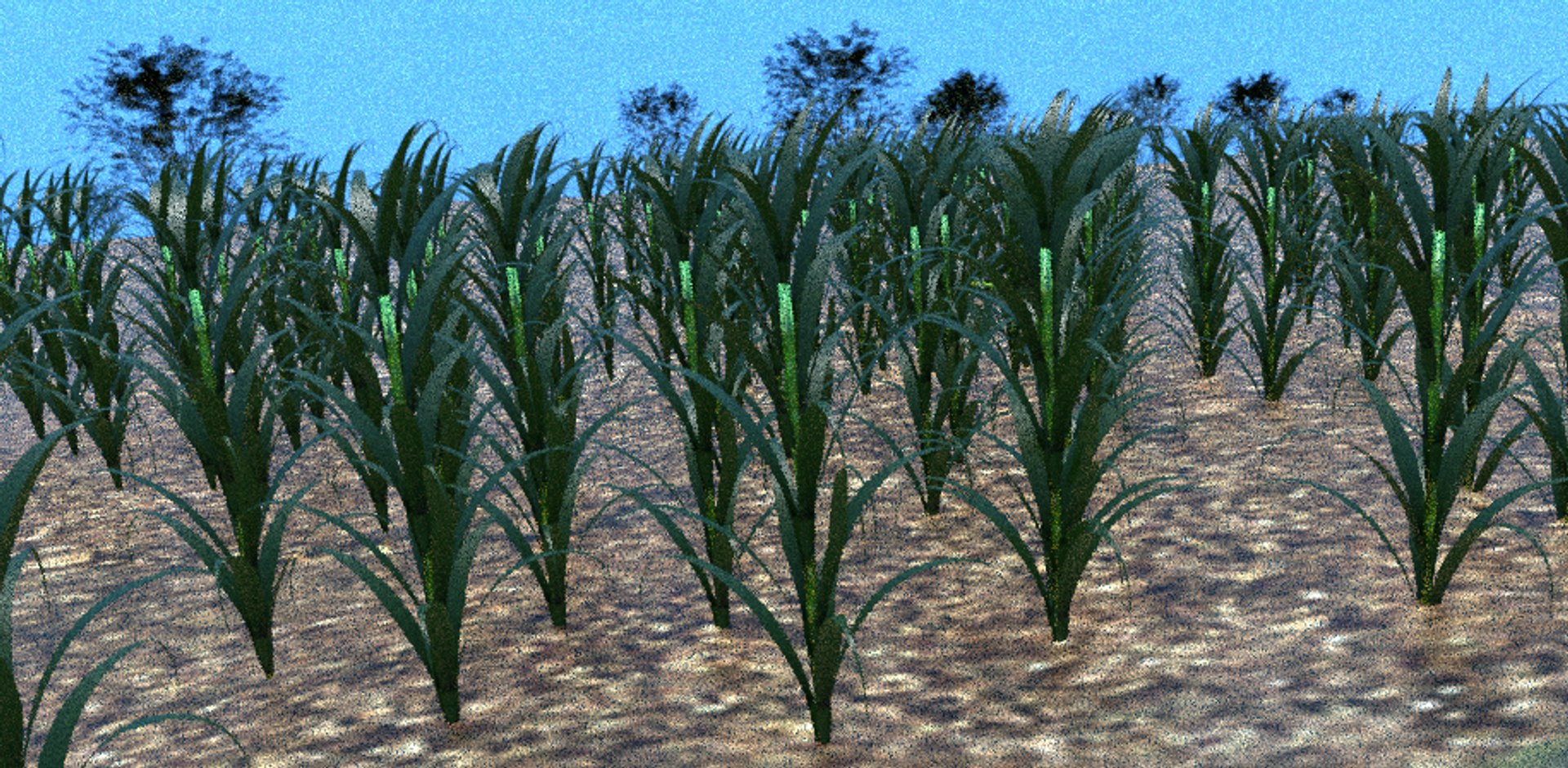 3D Sugarcane - TurboSquid 1954241