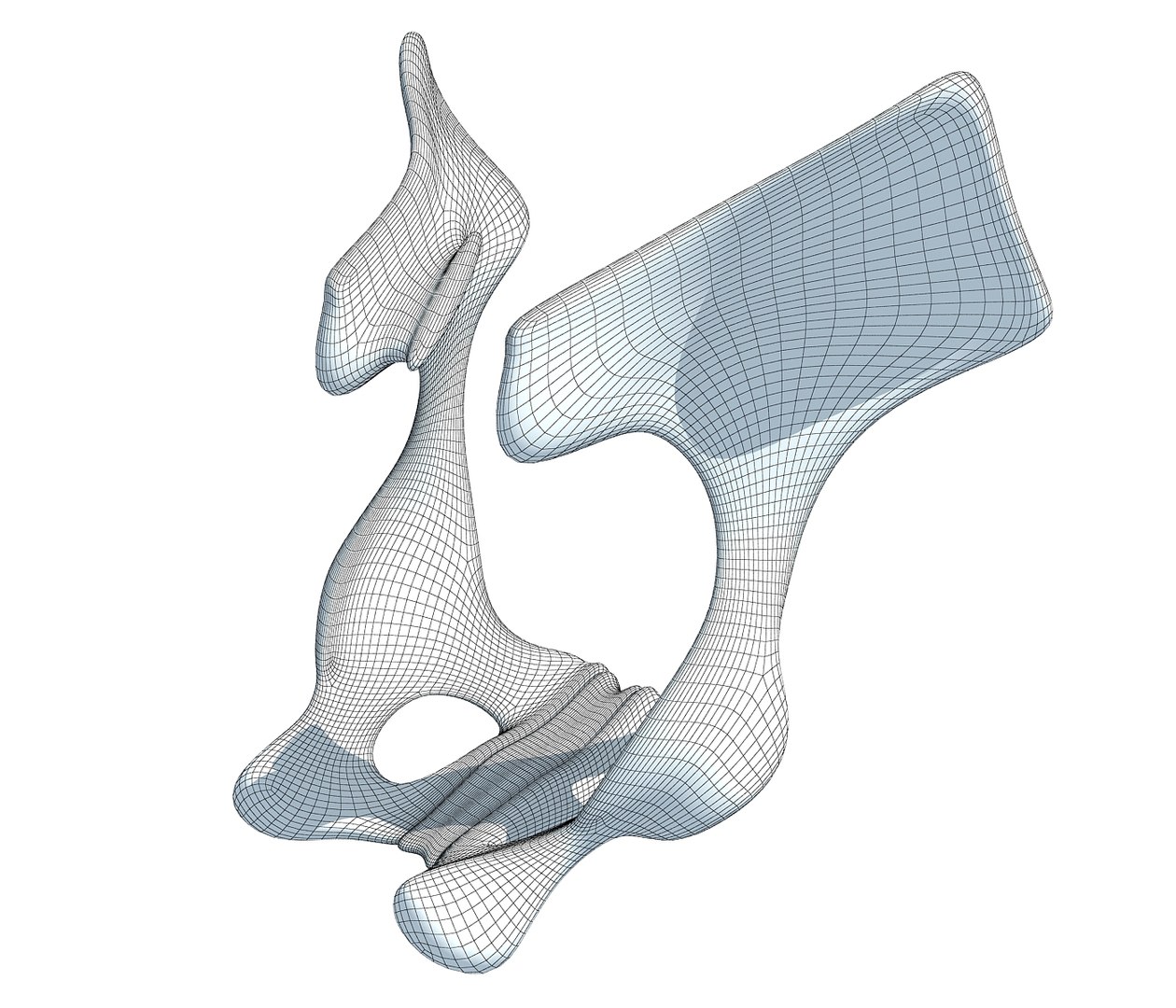 3D Animal Pelvis - TurboSquid 1177950