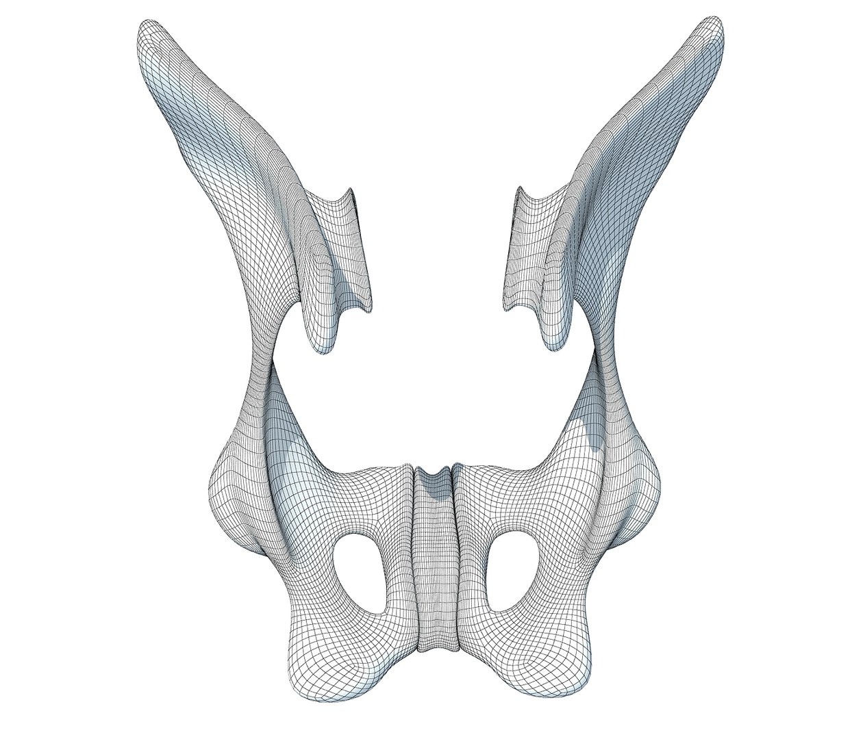 3D Animal Pelvis - TurboSquid 1177950