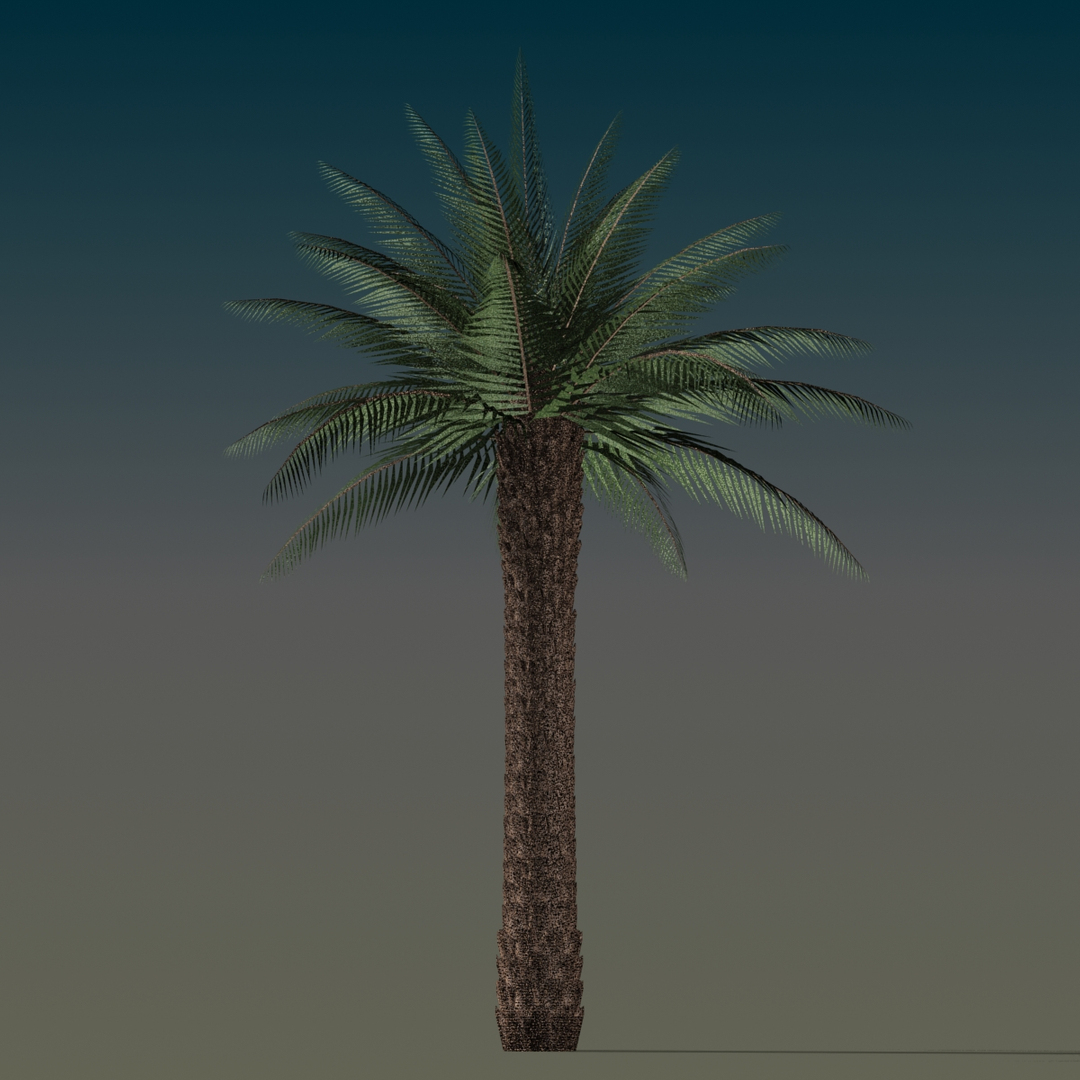3dsmax Realistic Palm Tree