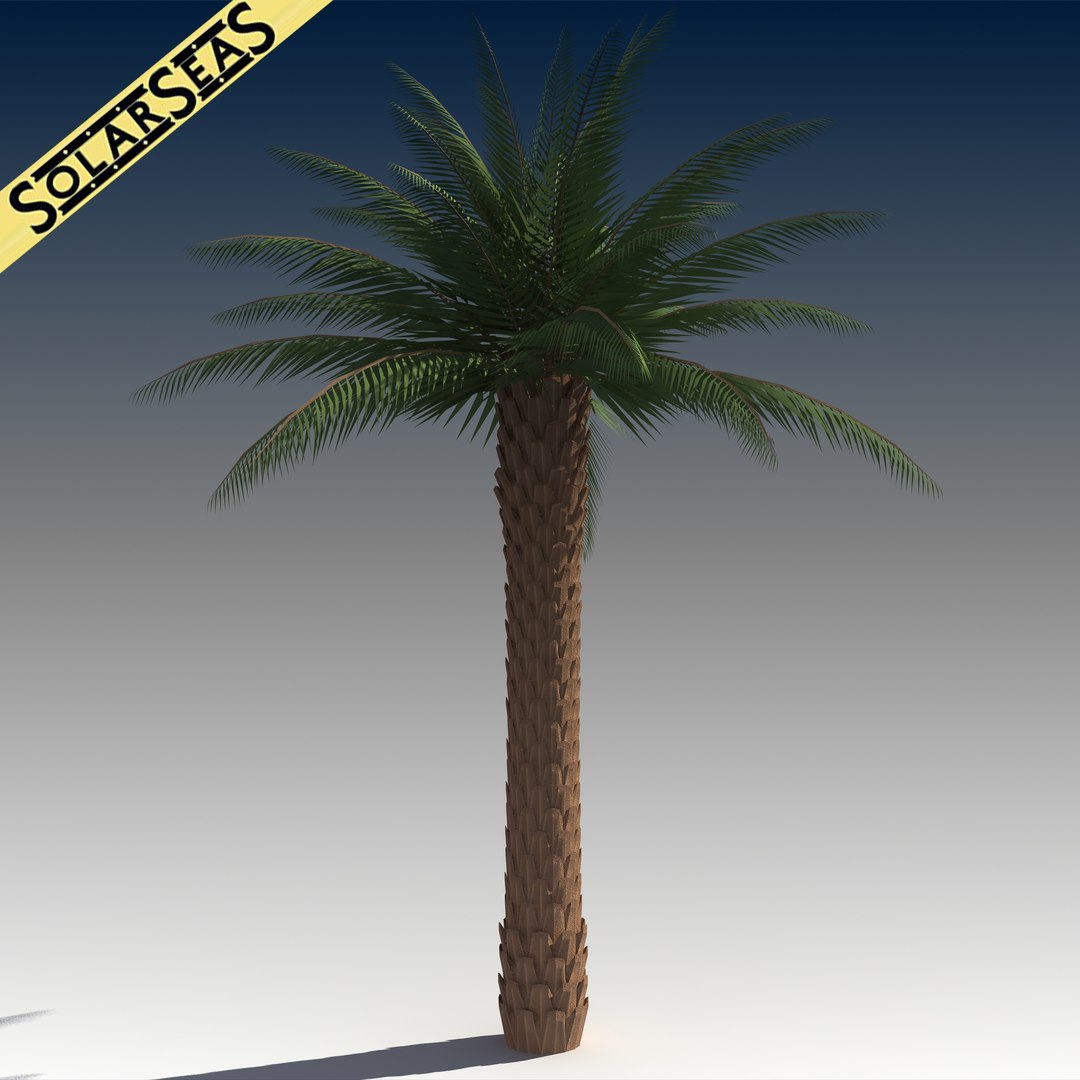3dsmax Realistic Palm Tree