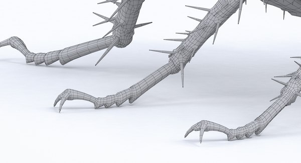 3D model realistic cockroach - TurboSquid 1321955