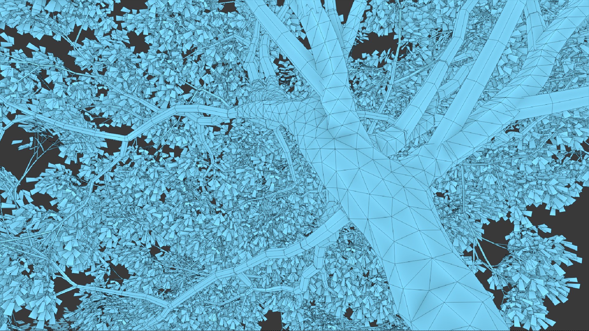 Rain Trees Pack 3D Model - TurboSquid 1797184