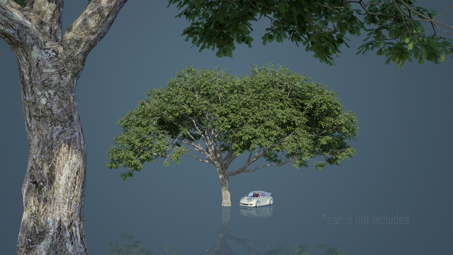 Rain Trees Pack 3D Model - TurboSquid 1797184