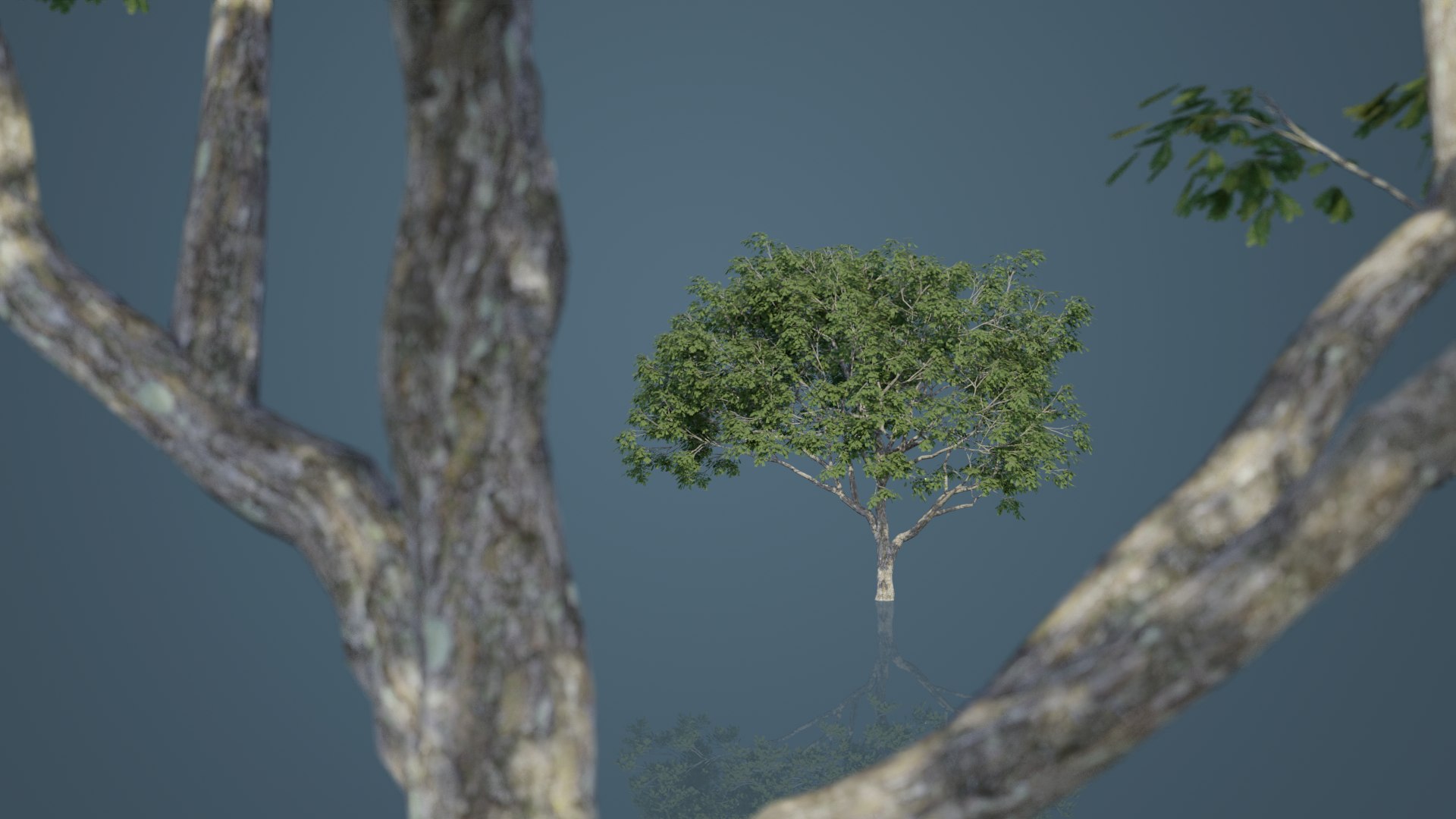 Rain Trees Pack 3D Model - TurboSquid 1797184