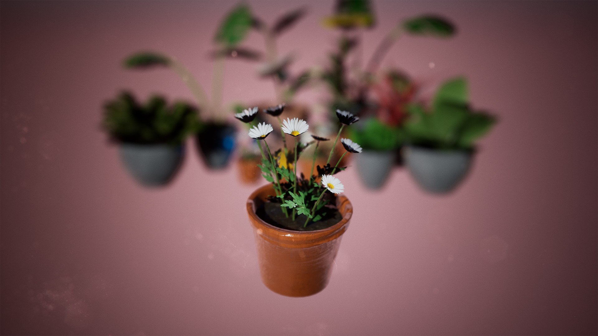 Pot Plant 11 Assets 3D - TurboSquid 2079080