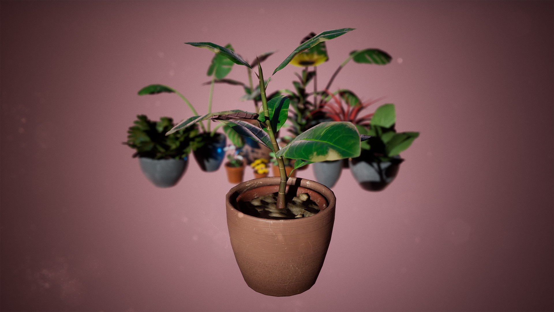 Pot Plant 11 Assets 3D - TurboSquid 2079080