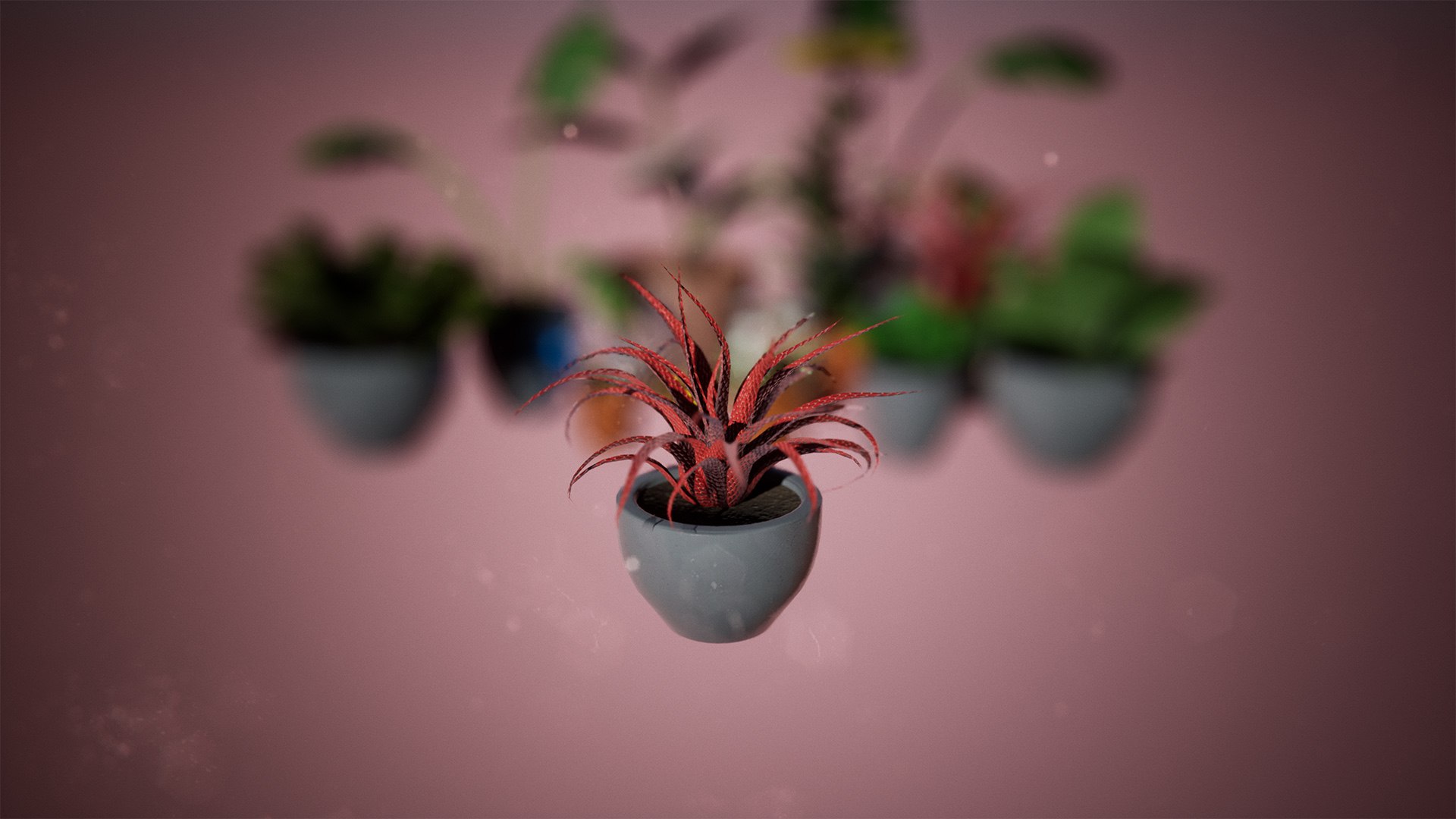 Pot Plant 11 Assets 3D - TurboSquid 2079080