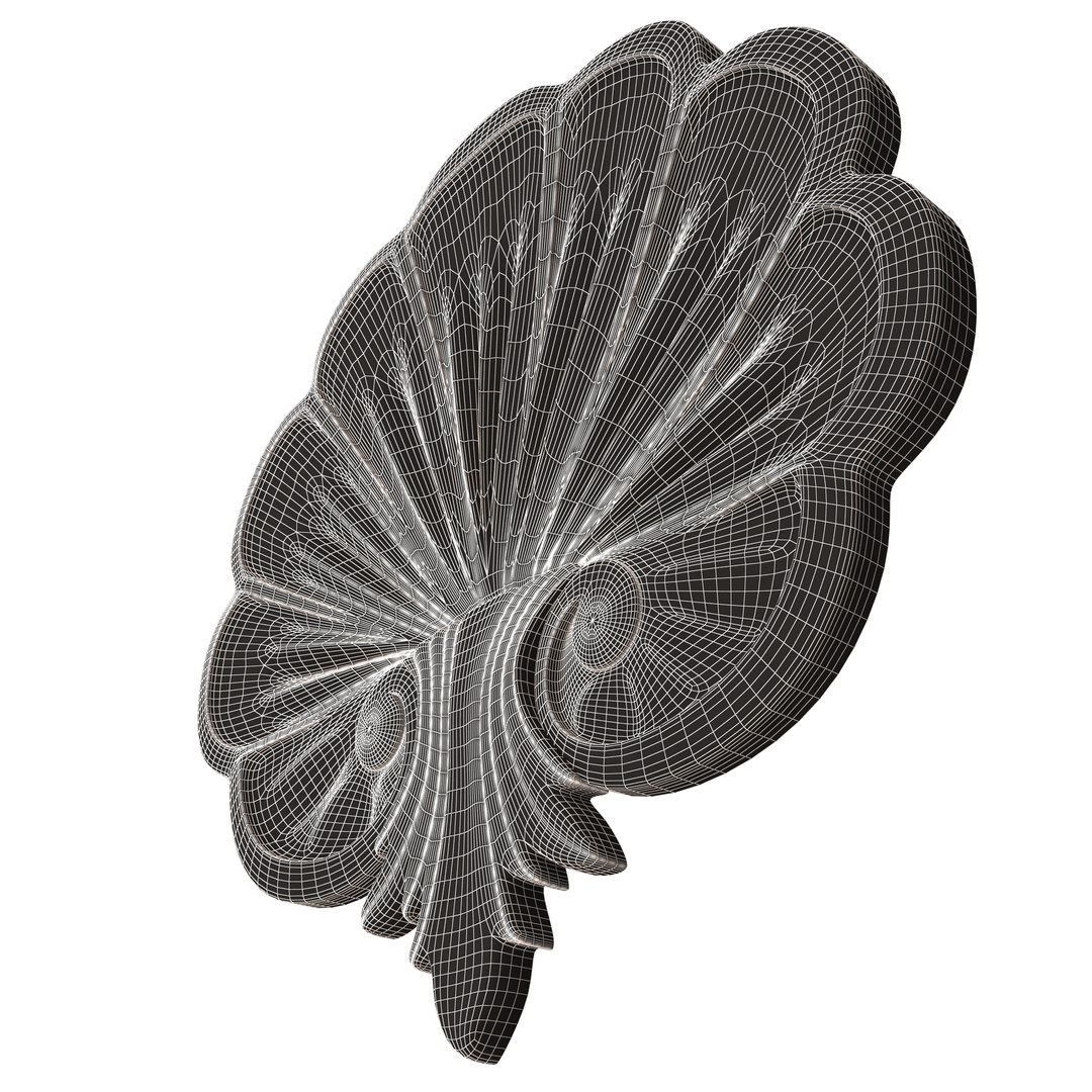 3D Shell Carved 05 - TurboSquid 1936806